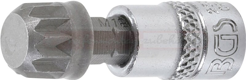 Bit-Einsatz | Antrieb Innenvierkant 6,3 mm (1/4") | Innenvielzahn (fü