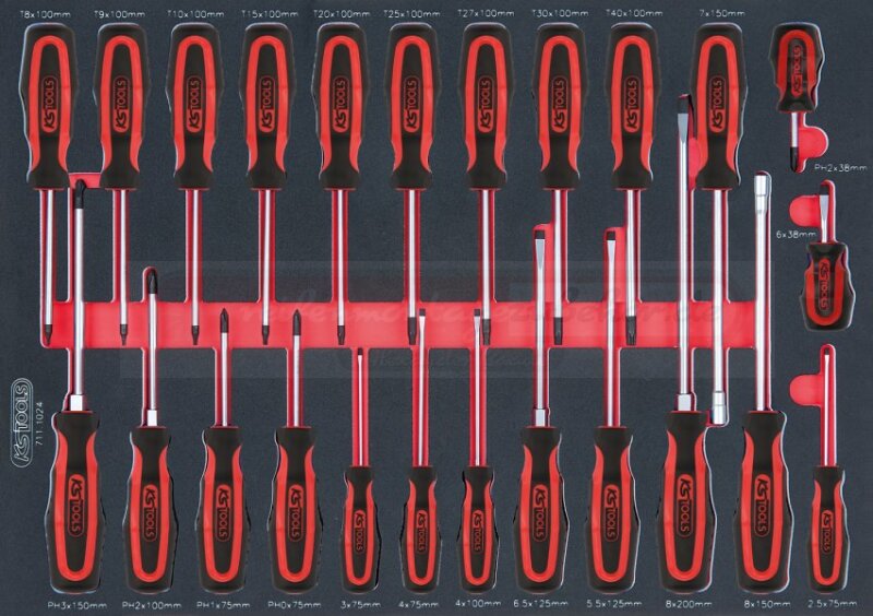 SCS ERGOTORQUEplus Schraubendreher-Satz, 24-tlg in 1/1 Systemeinlage